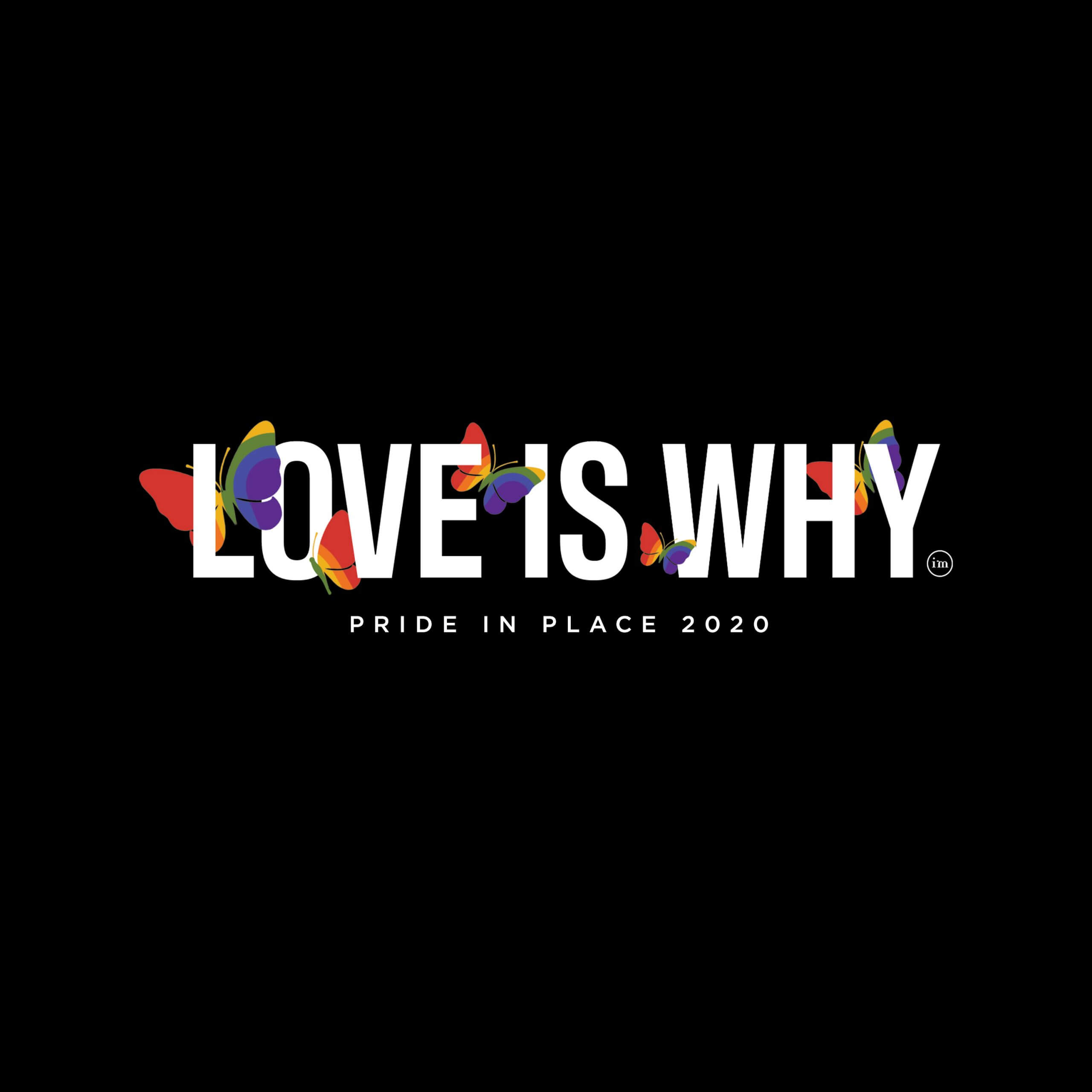 Love is Why | Imaginal Marketing Store